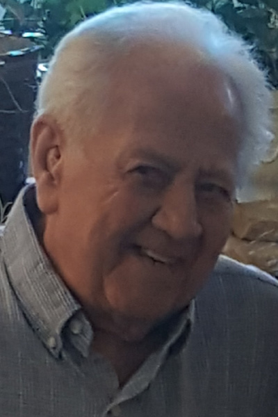 Dominic DiLallo 1934-2020 | News, Sports, Jobs - The Vindicator